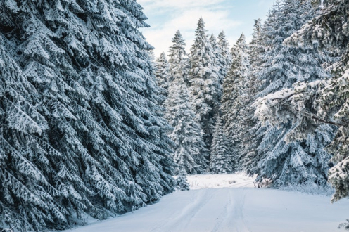 Winter Driving Safety Tips - Utah Attorneys